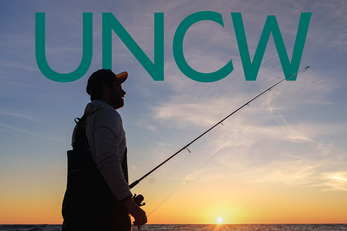 Chancellor Newsletter