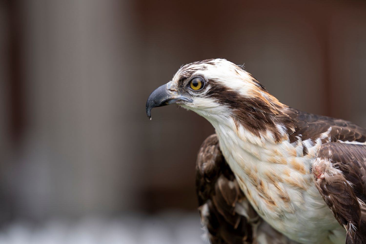 University of North Carolina Wilmington | UNCW